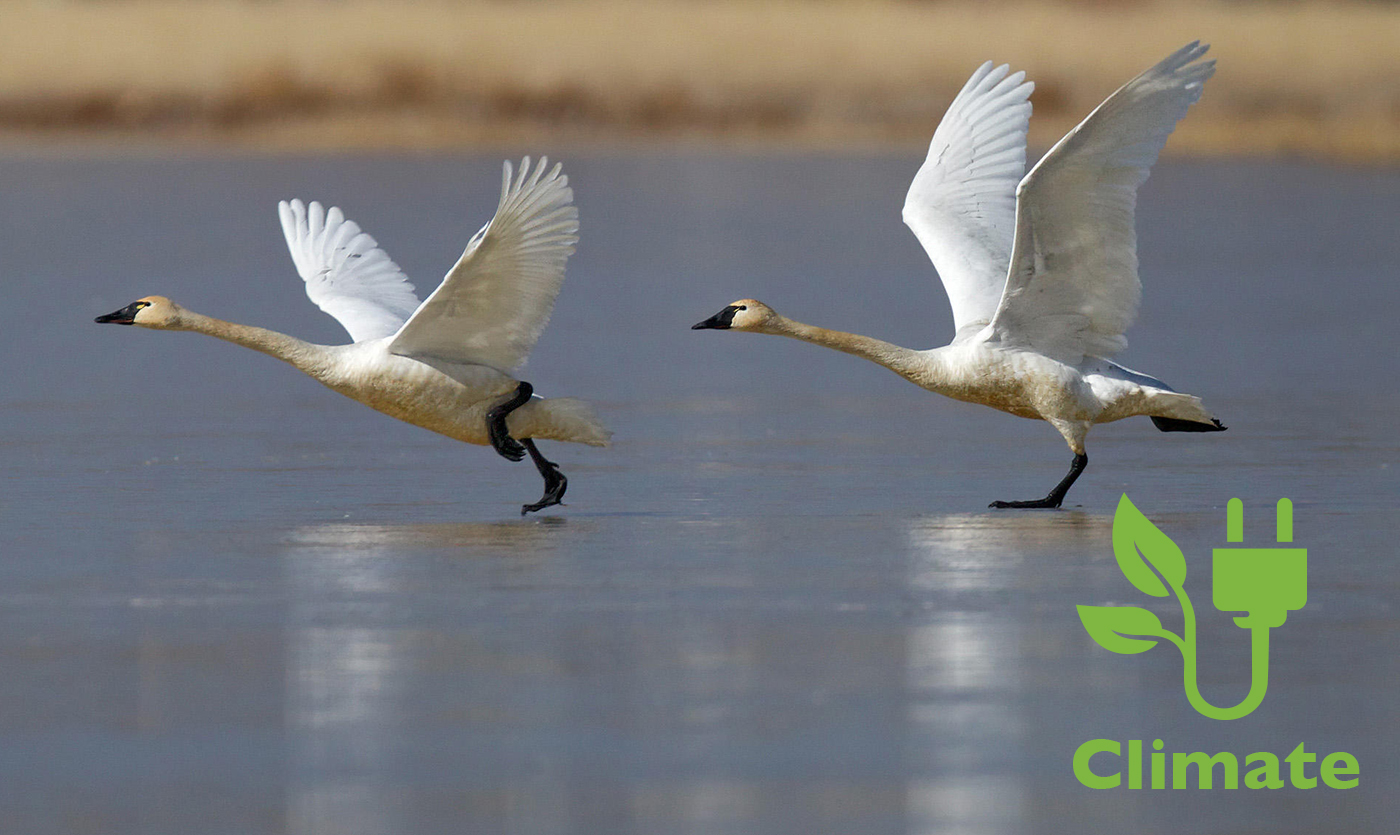 climate_with_birds.jpg | Audubon Pennsylvania